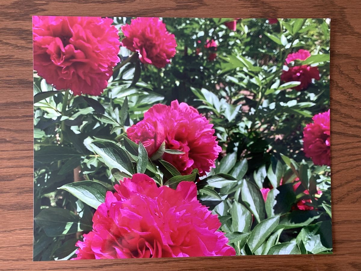 Shutterfly Photo Printing review: Quality, variety, and value | iMore