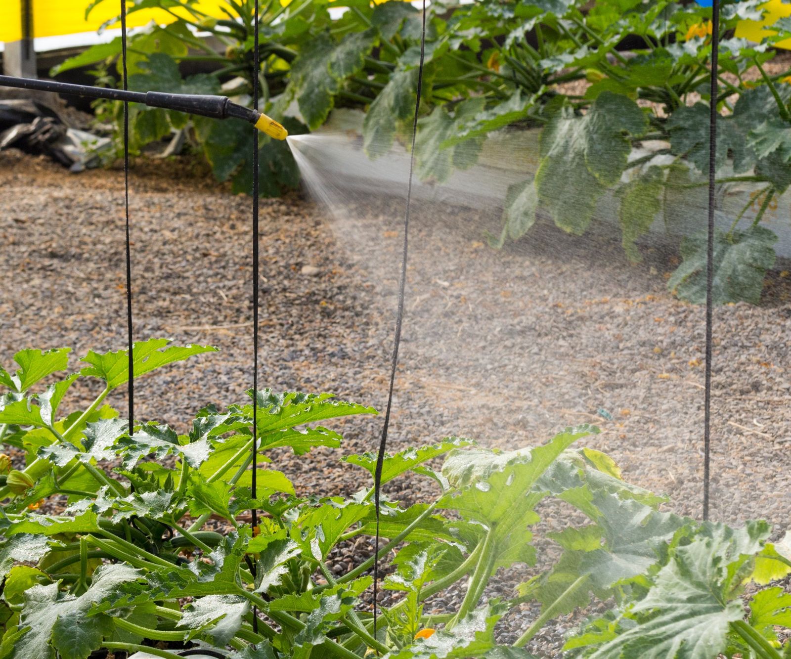 How to add phosphorus to soil: 5 organic methods | Homes and Gardens