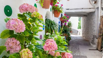 32 inspirational garden themes for all types of outdoor spaces | Woman ...