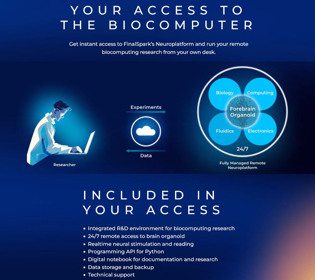 World's first bioprocessor uses 16 human brain organoids for ‘a million times less power ...