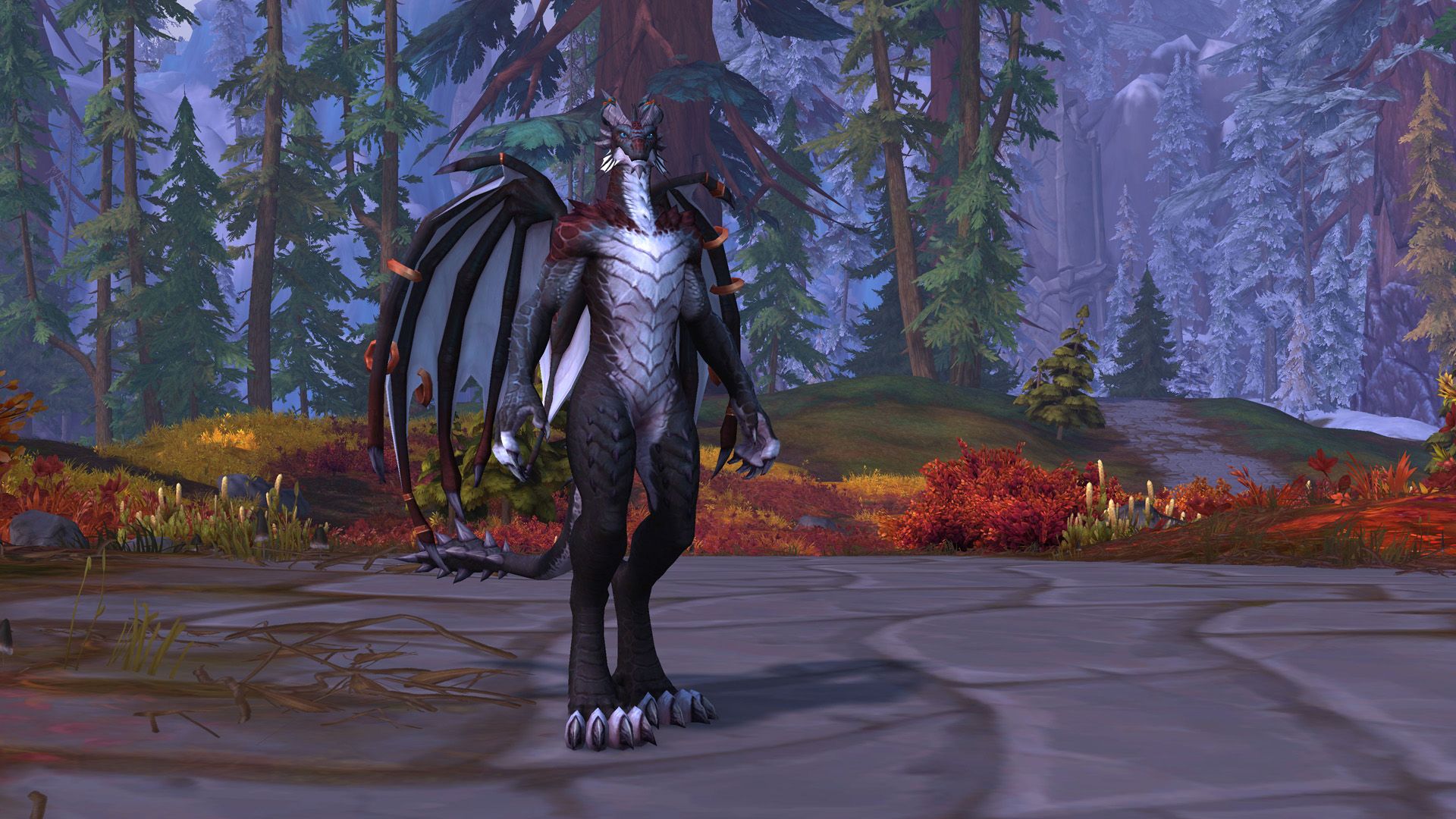 WoW Dracthyr: What you need to know | PC Gamer