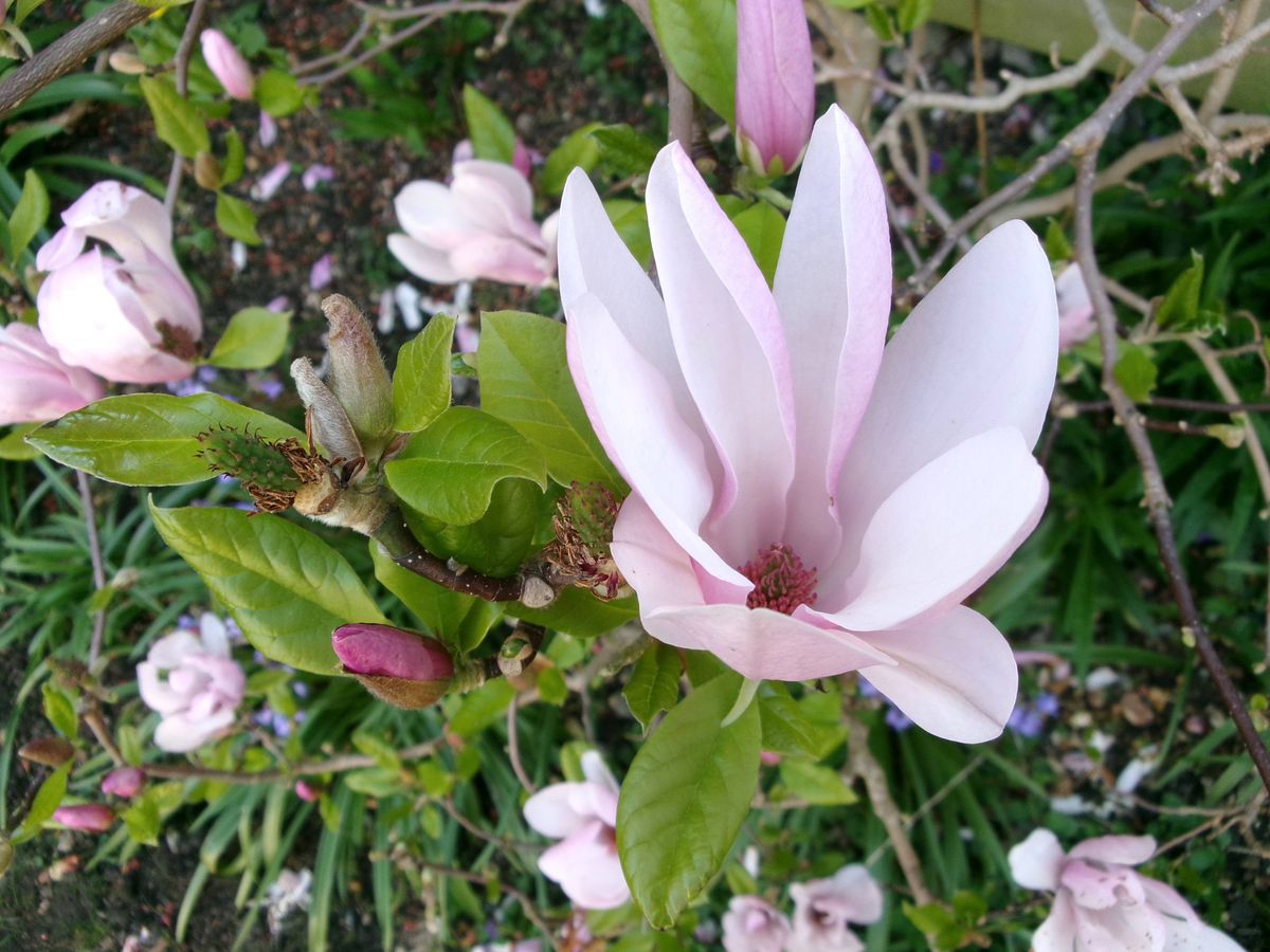 Kodak Pixpro FZ55 review | Digital Camera World