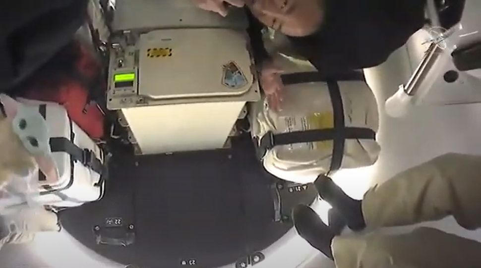 Take a video tour of SpaceX's Crew-1 Dragon spaceship with Baby Yoda ...