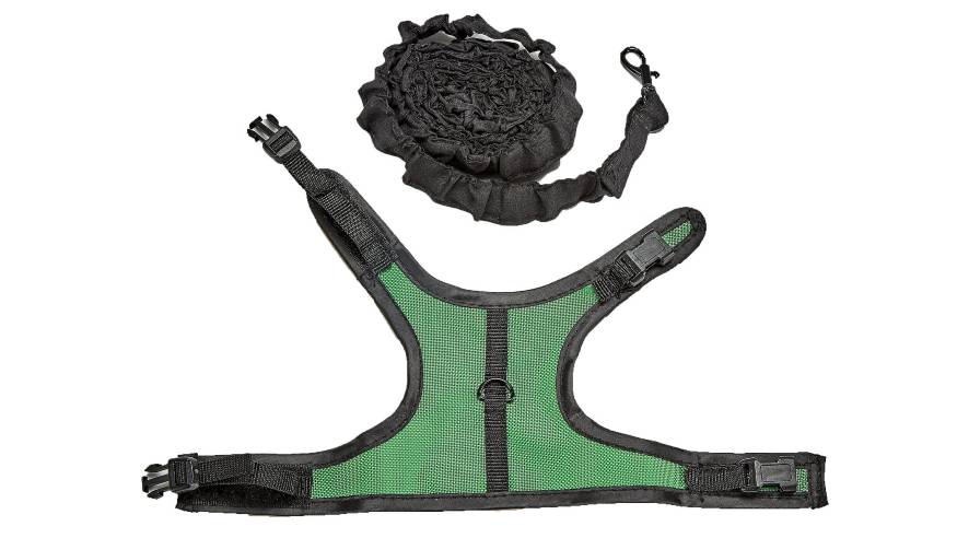 Best rabbit harness: Let them explore in safety | PetsRadar