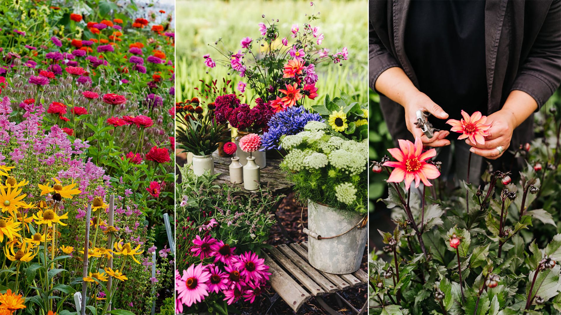 Planning a cut flower garden: top tips for beautiful blooms | Homes and ...
