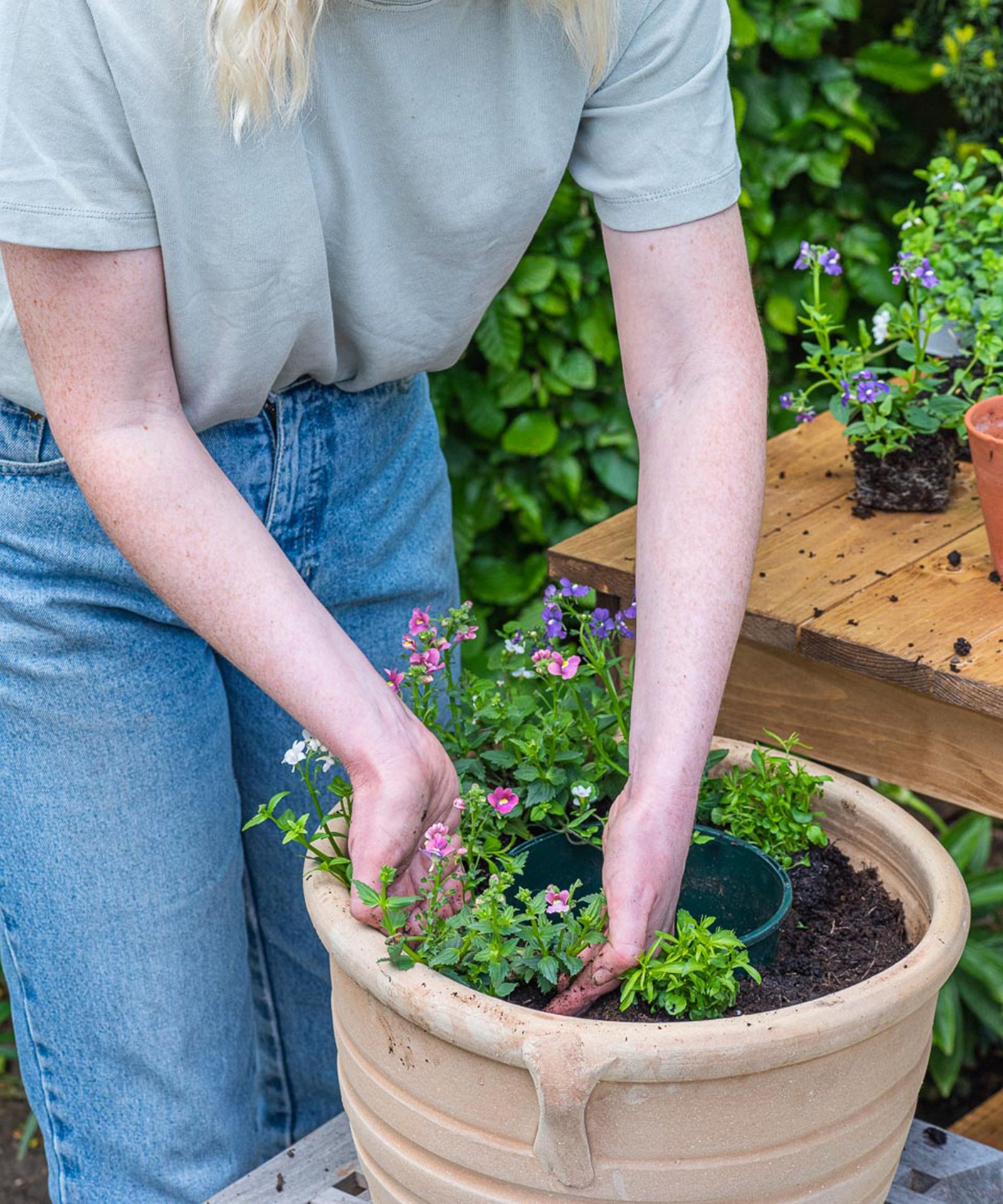 How to plant flowers in pots: step-by-step guide to patio containers ...