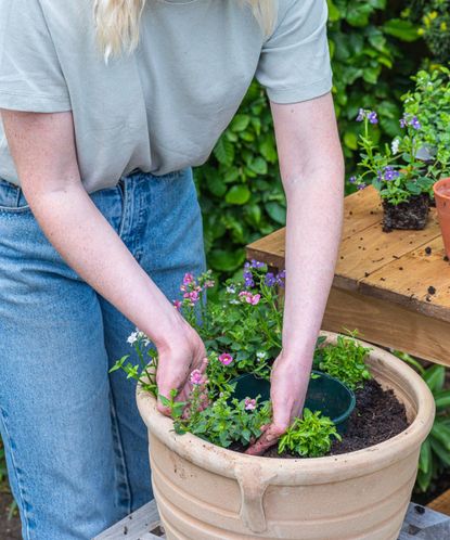 How to plant flowers in pots: step-by-step guide to patio containers ...