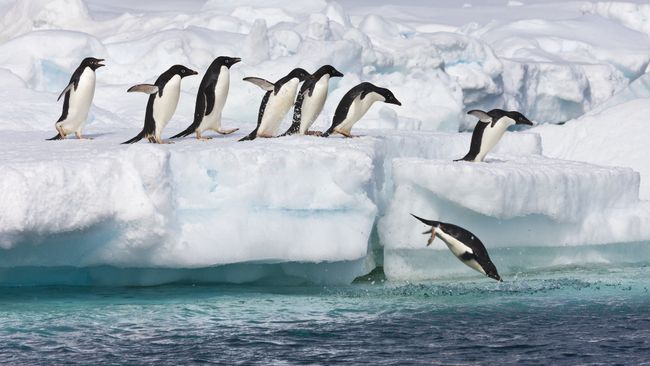 Why does ice float? | Live Science