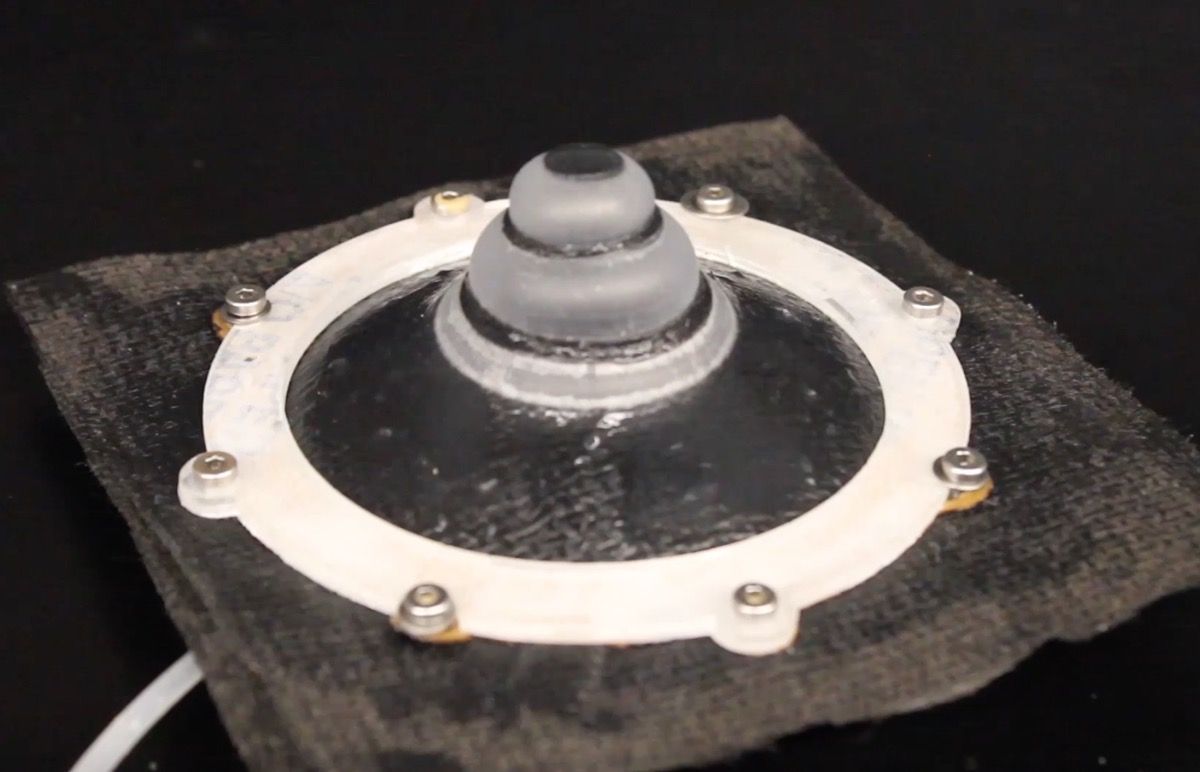 Octopus-Inspired Robots: Silicone Skin Can Change Texture for '3D ...