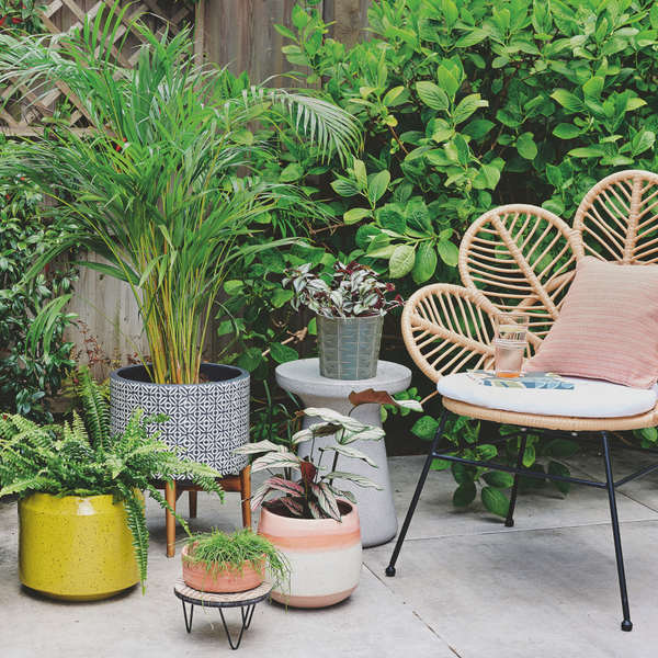 Best hedging plants for your garden, according to experts | Ideal Home