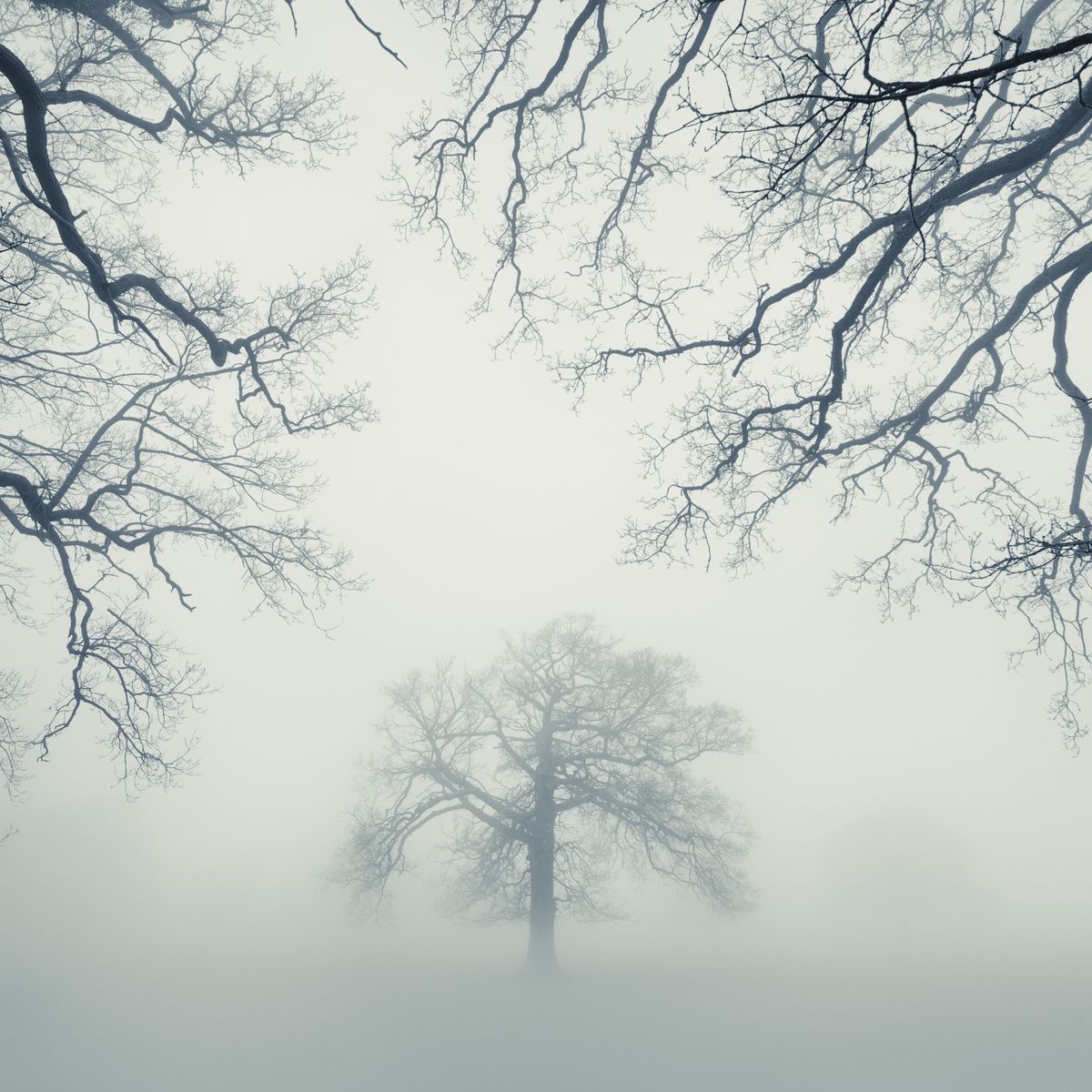 Is medium format photography worth it? Here's what a professional ...