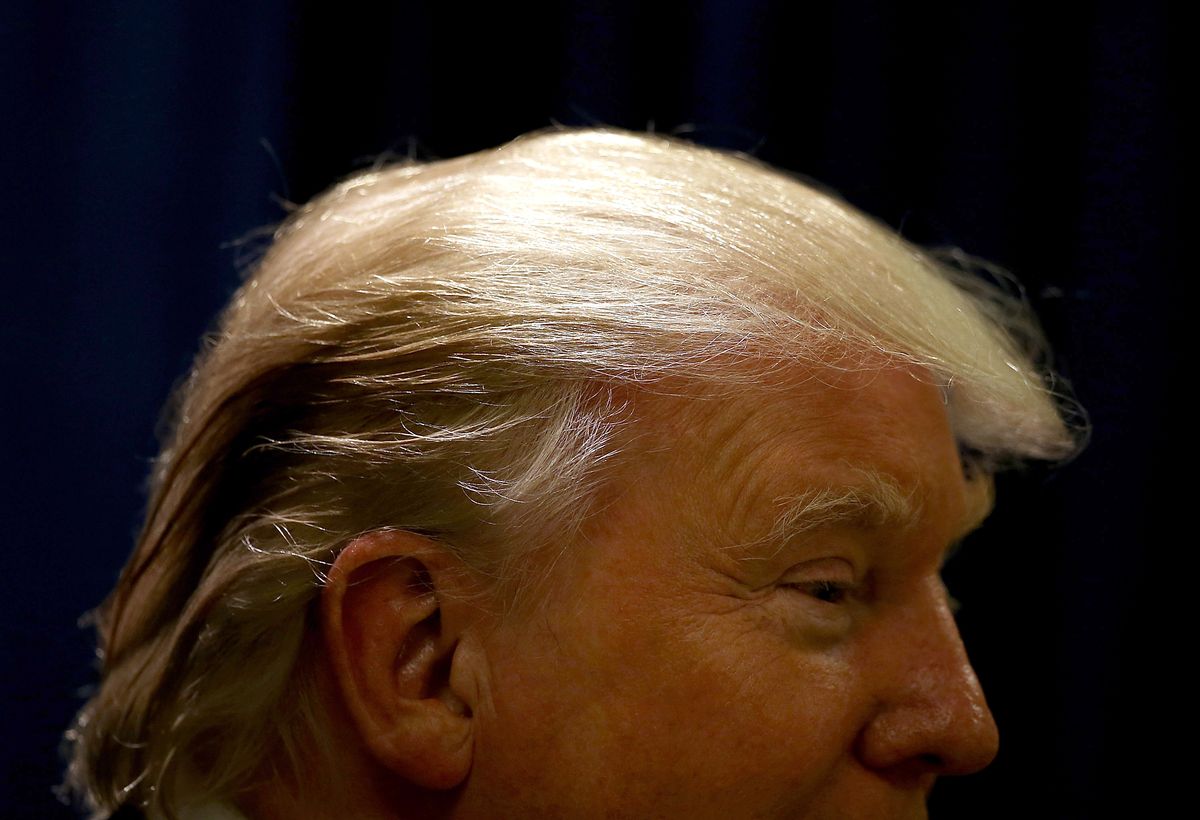 How Donald Trump's hair bewitched America | The Week