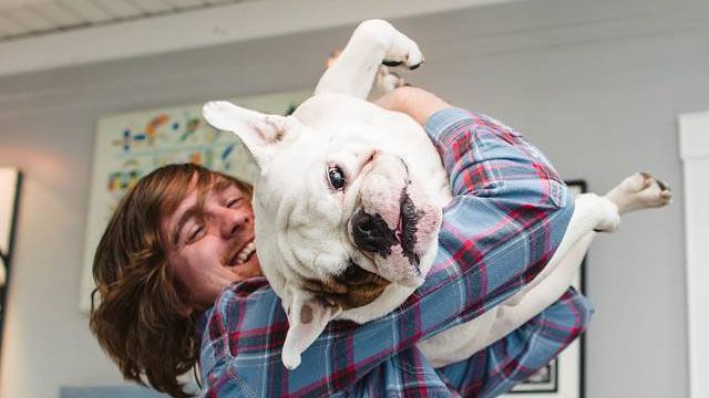 8 totally amazing design studio dogs | Creative Bloq