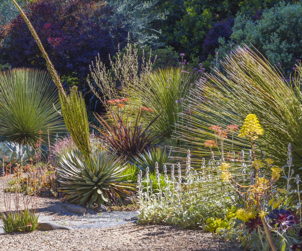 Must-Have Heat Tolerant Landscaping Ideas | Gardening Know How