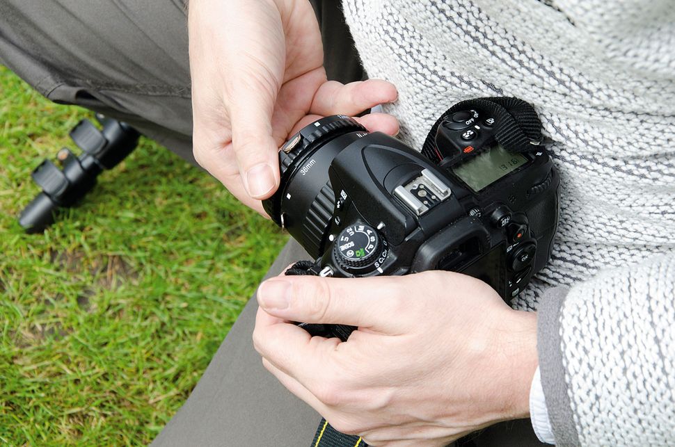 How to use extension tubes for low-cost macro photography | Digital ...