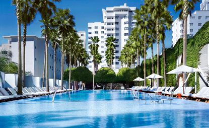 The 9 best pools in Miami to dip your toes into | Wallpaper*