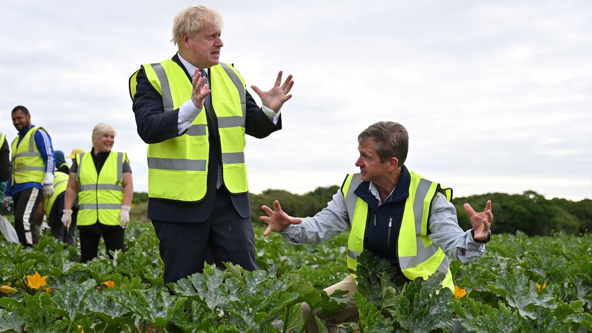 How Britain’s food system is set to change | The Week