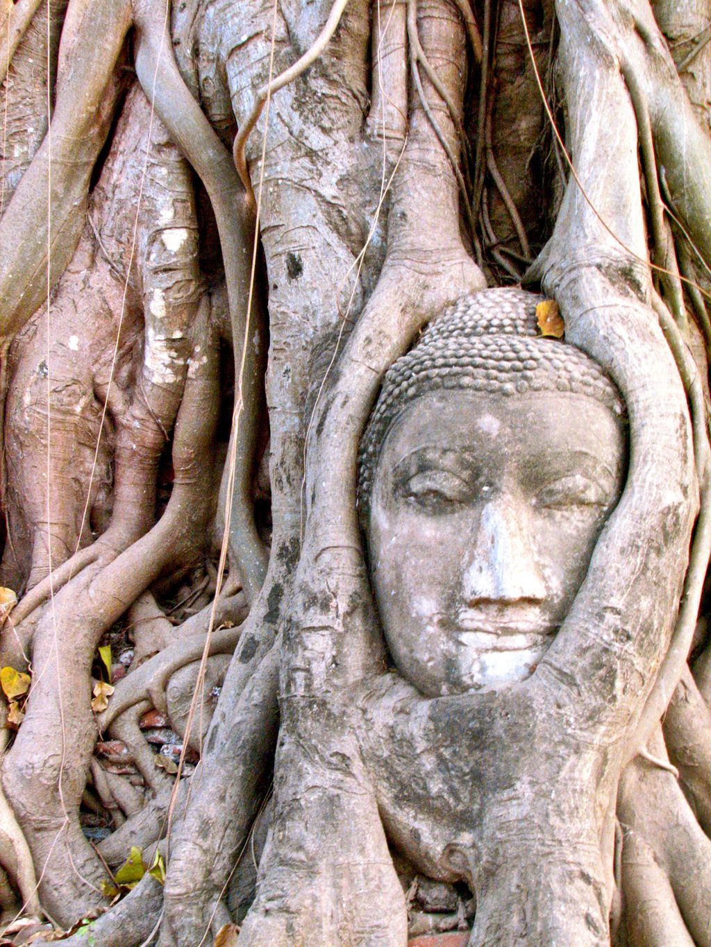 Ancient Siam: A Trip Through Thailand's Past | Live Science
