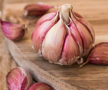 6 great types of garlic to consider when planting in spring | Homes and ...