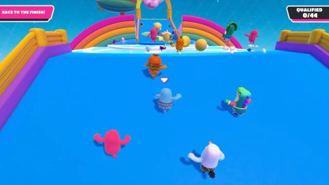 Every type of Fall Guy, classified | PC Gamer