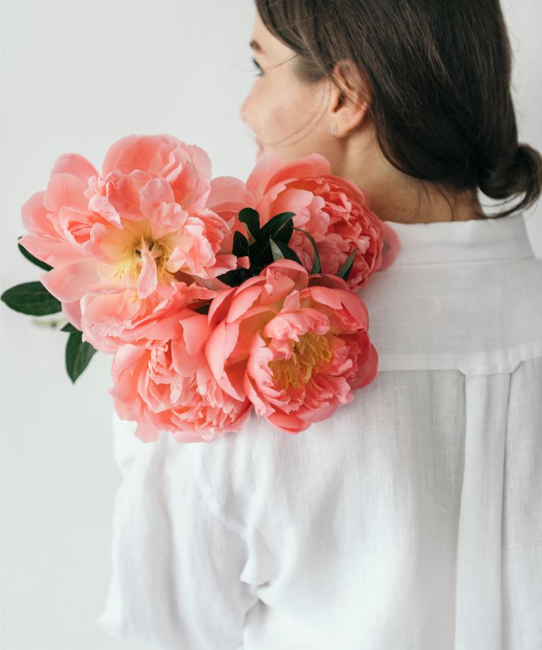Coral Sunset Peony - Your Complete Guide | Gardening Know How