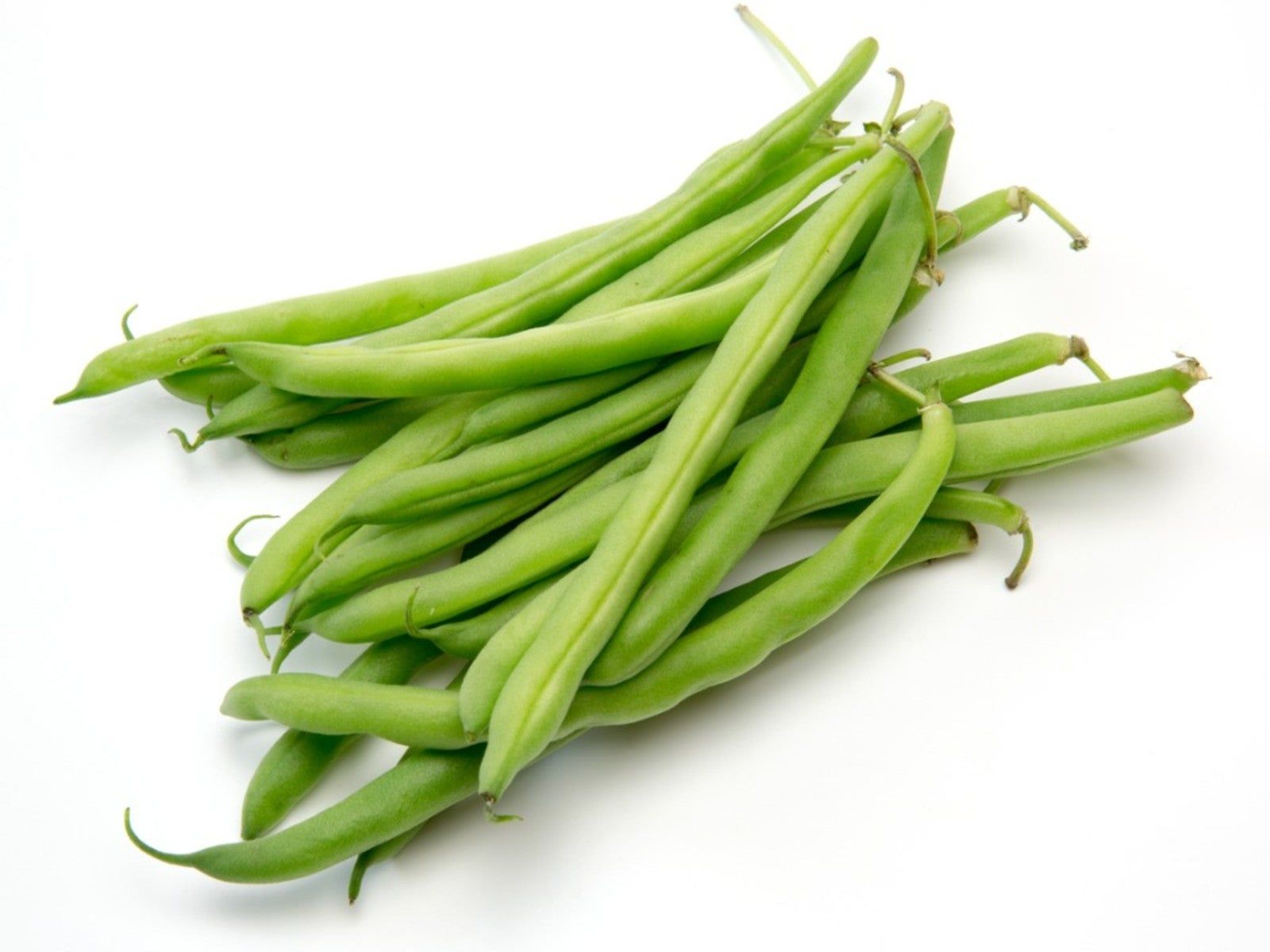 What Are Half-Runner Beans: How To Grow Half-Runner Beans | Gardening ...