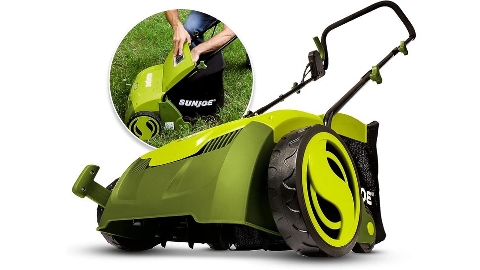 Scarifier vs dethatcher: experts explain the difference | Top Ten Reviews