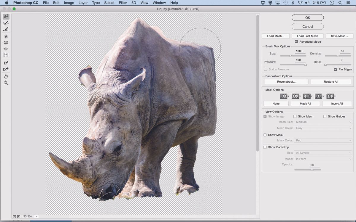 How to reshape photos of wildlife and pets | Digital Camera World
