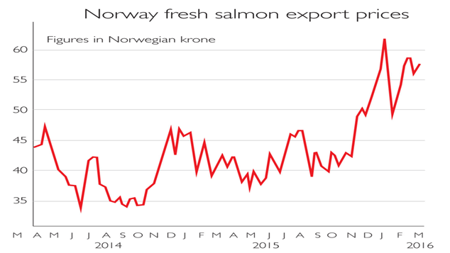 Chart of the week: salmon prices are leaping | MoneyWeek