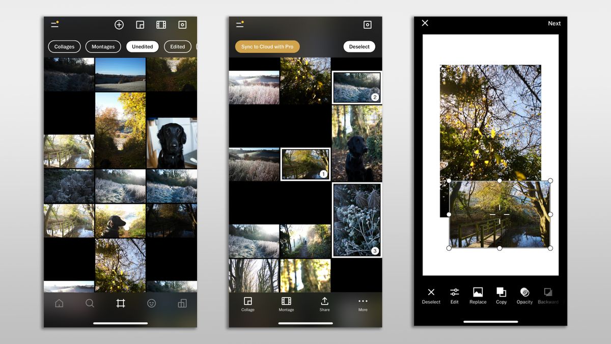 As a professional photographer, I've finally found an app that could ...