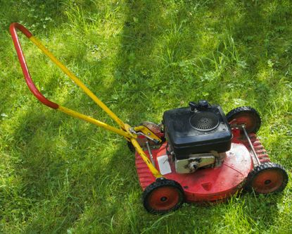 How to mow a lawn, according to the pros | Real Homes