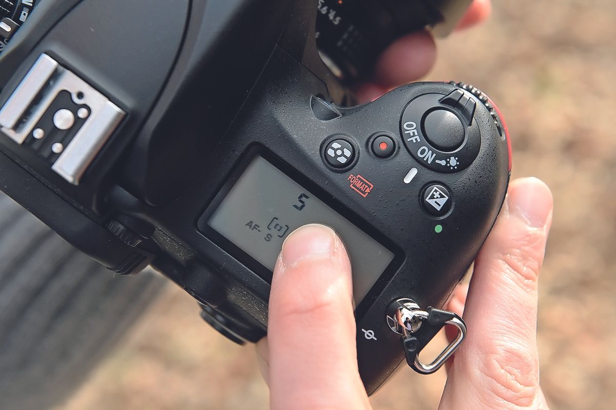 Tips for shooting backyard birds | Digital Camera World