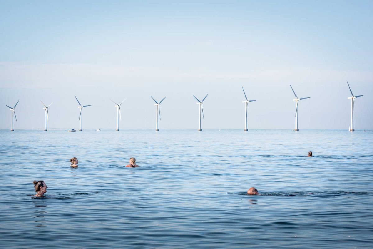 Haunting photos of dead flamingos win Environmental Photographer of the ...