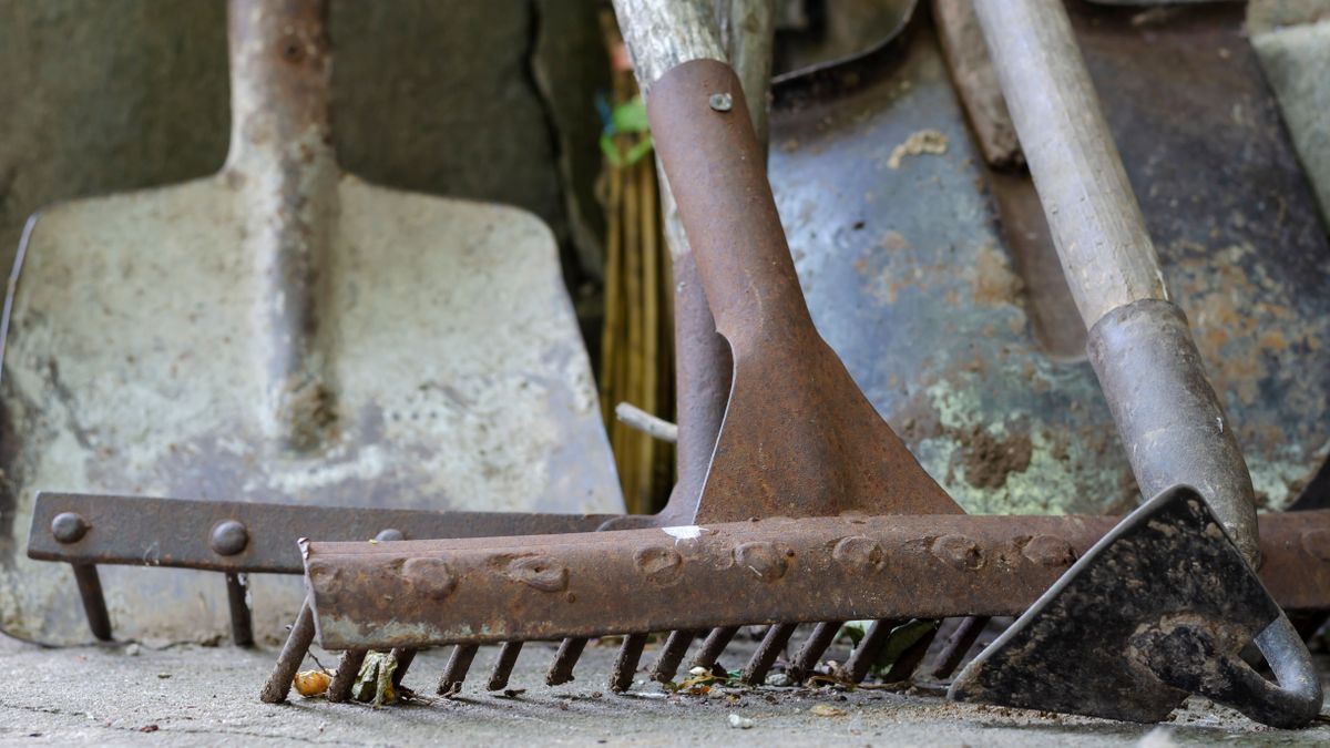 5 ways to get rid of rust stains and look after your garden tools | Tom ...
