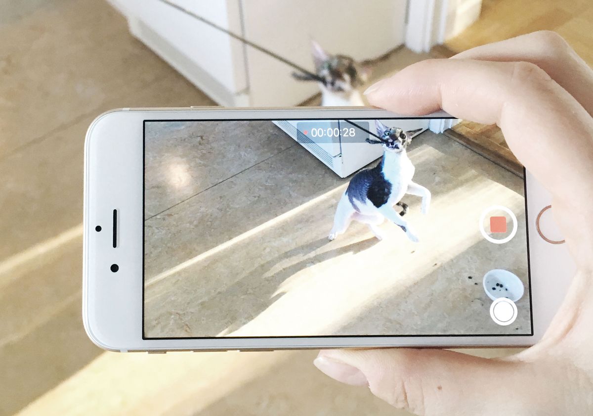 15 tips for creating characterful creature art | Creative Bloq