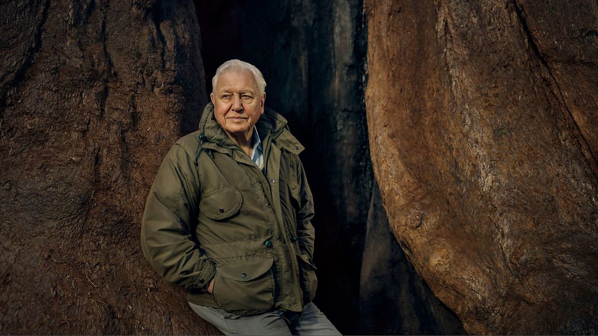 BBC's Green Planet brings plants to life with state-of-the-art ...