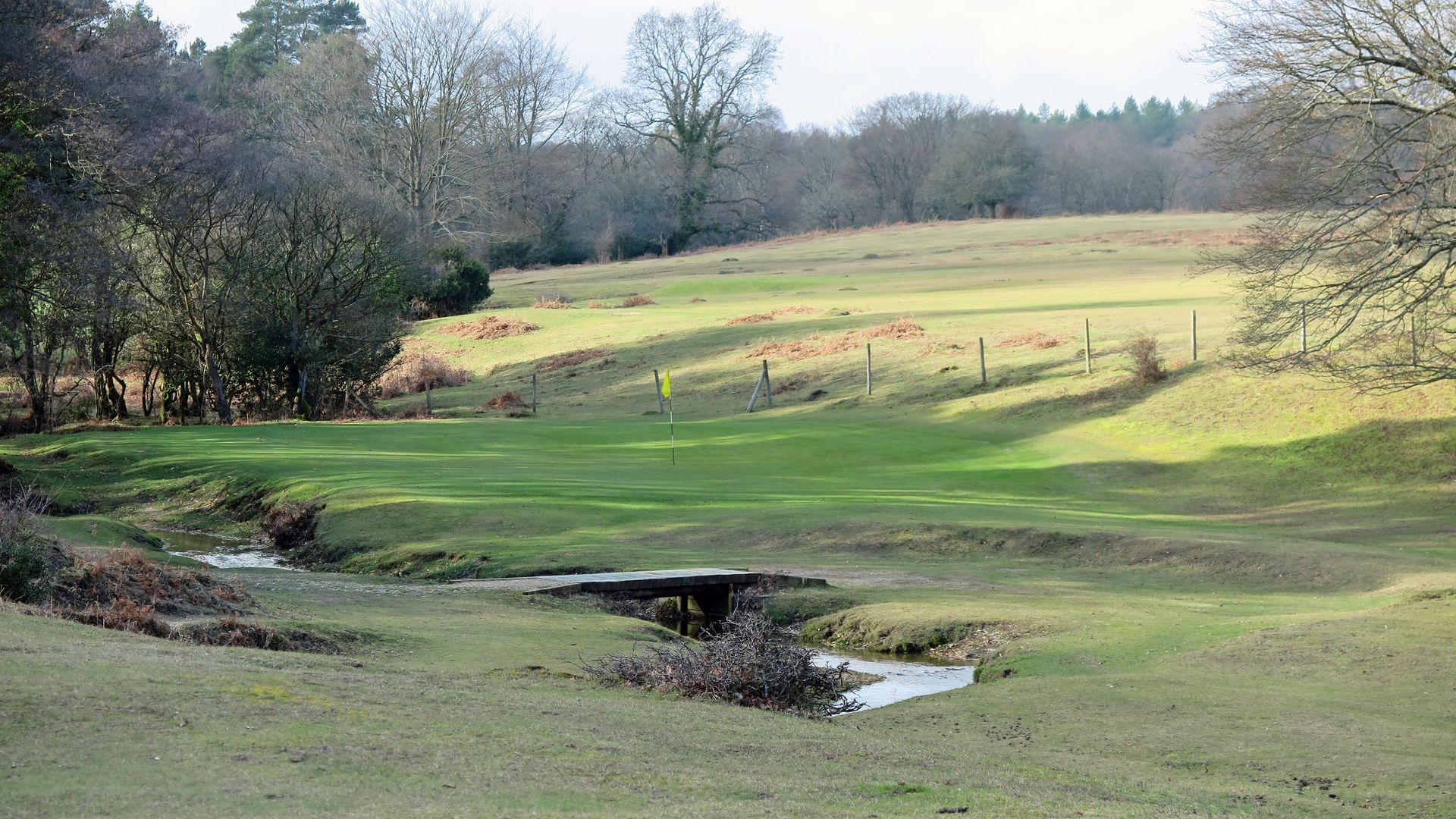 Bramshaw Golf Club Forest Course Review | Golf Monthly