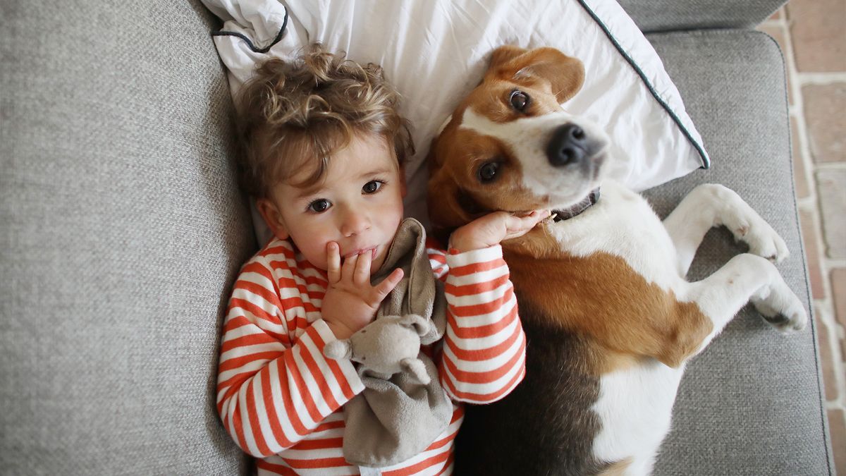 Best pets for autistic people: Children and adults | PetsRadar