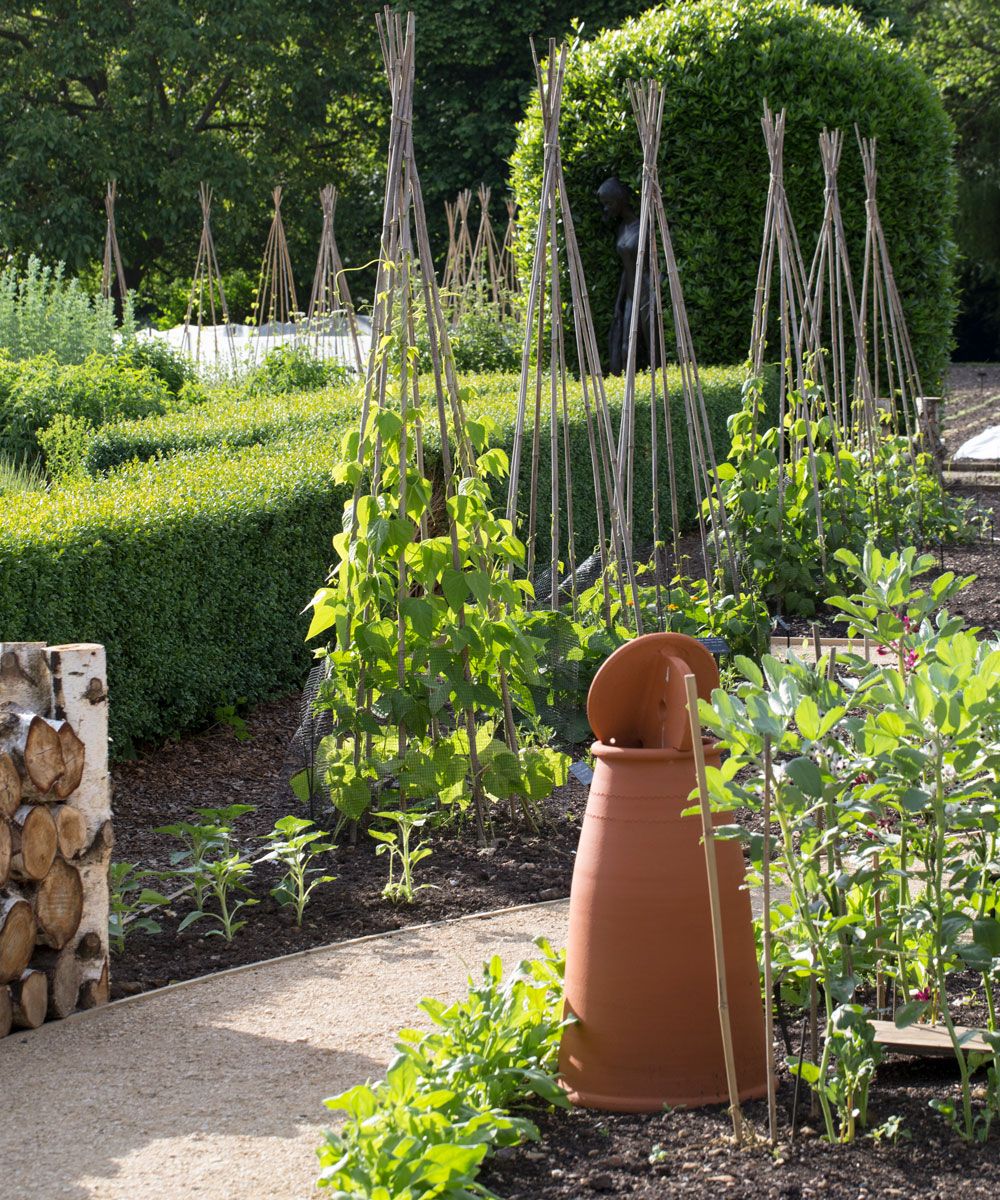 Jobs to do in the garden in May – top gardening jobs to carry out now ...