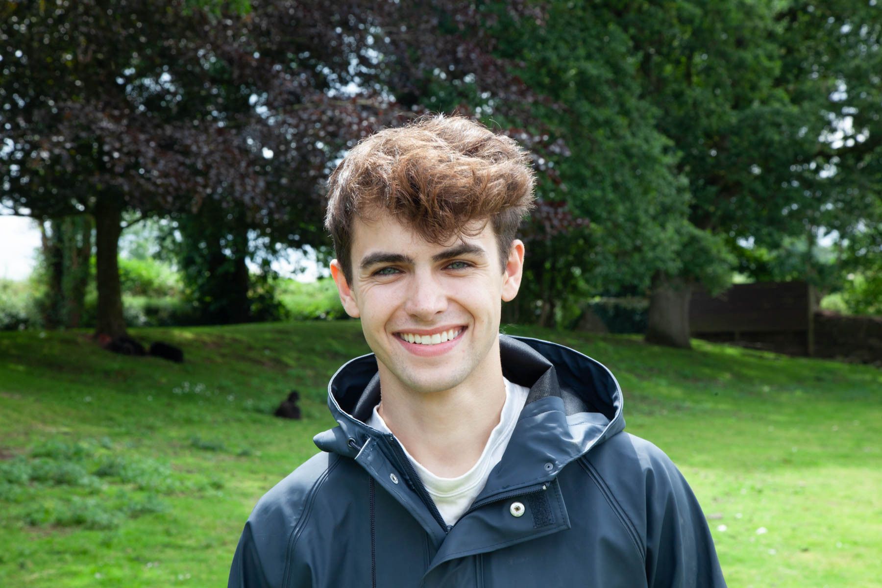 We Built a Zoo: release date, trailer and everything we know | What to Watch