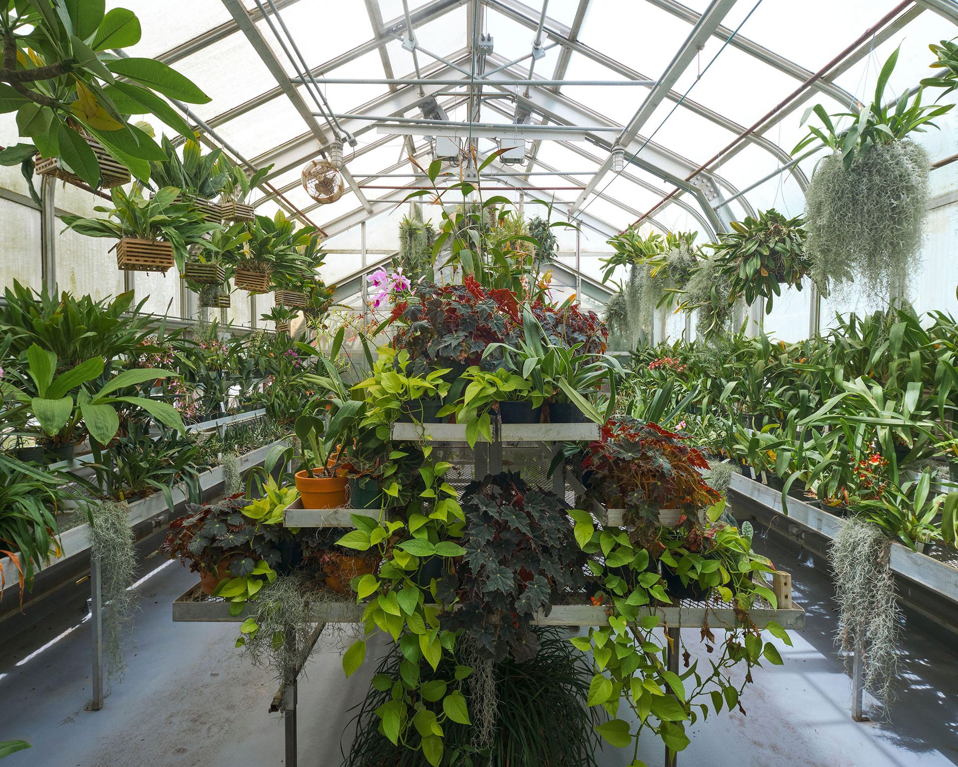 Greenhouse shelving ideas: 10 ways to store plants and tools | Gardeningetc