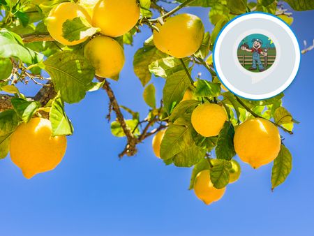 The Best Alexa Recipe and Cooking Skills | Tom's Guide