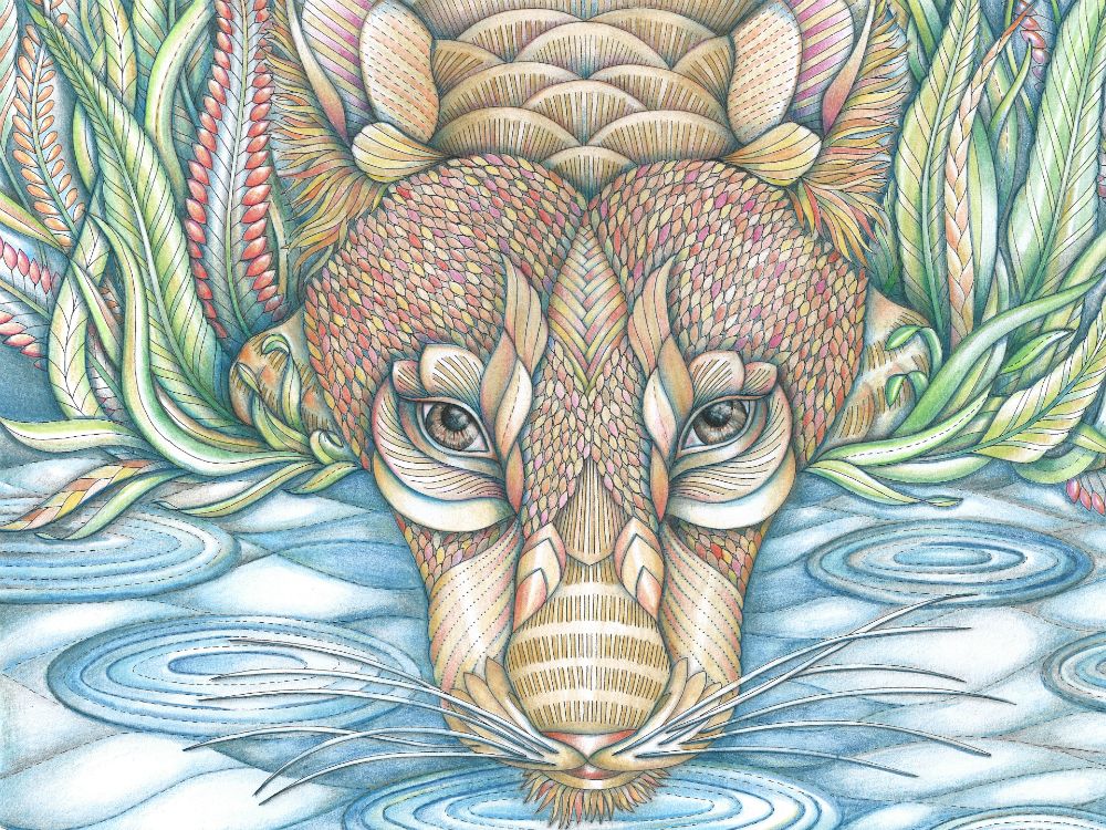 MC Meets: Millie Marotta, Best-selling Adult Colouring Book Illustrator ...