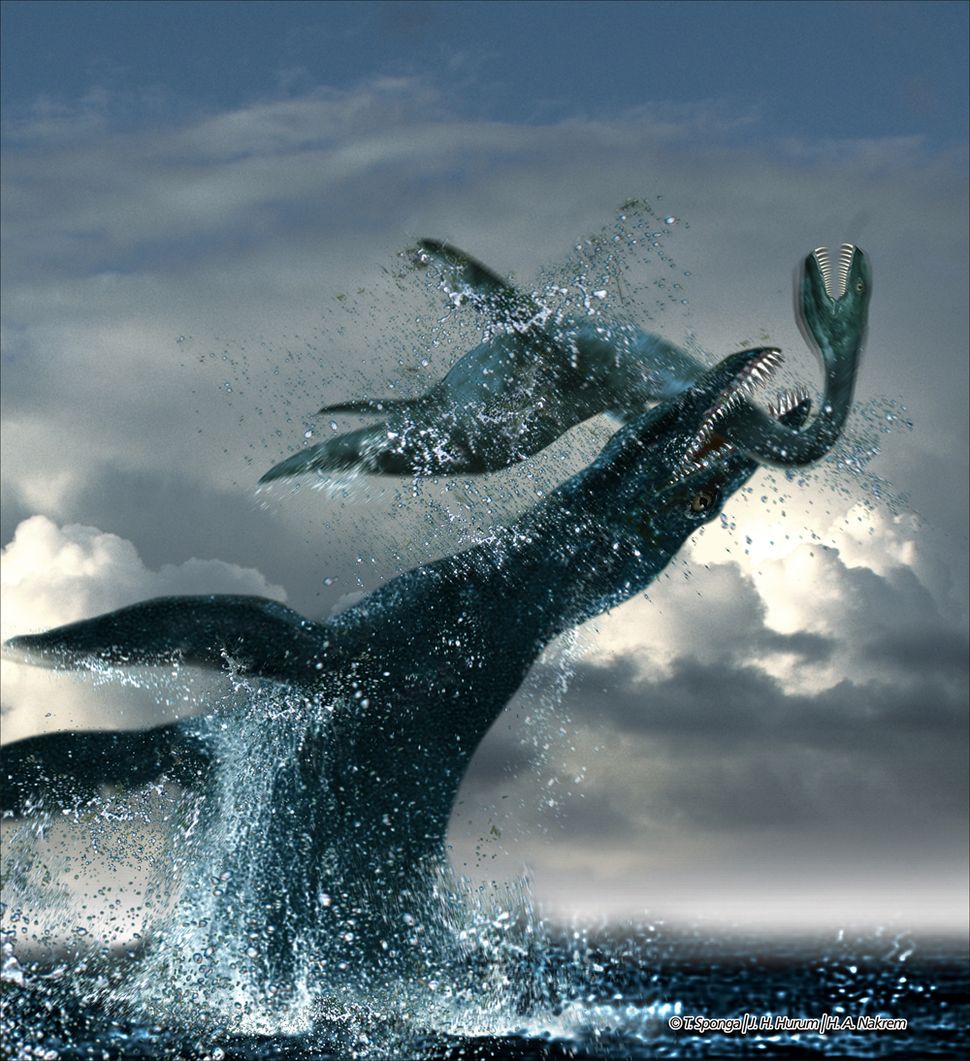 Image Gallery: Ancient Monsters of the Sea | Predator X | Live Science