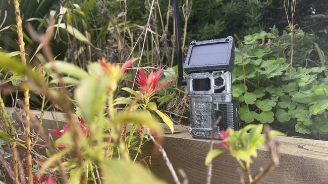 Spypoint Link-Micro-S-LTE trail camera review | Digital Camera World