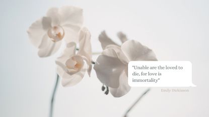 11 inspirational poetry quotes that will get you thinking | Woman & Home