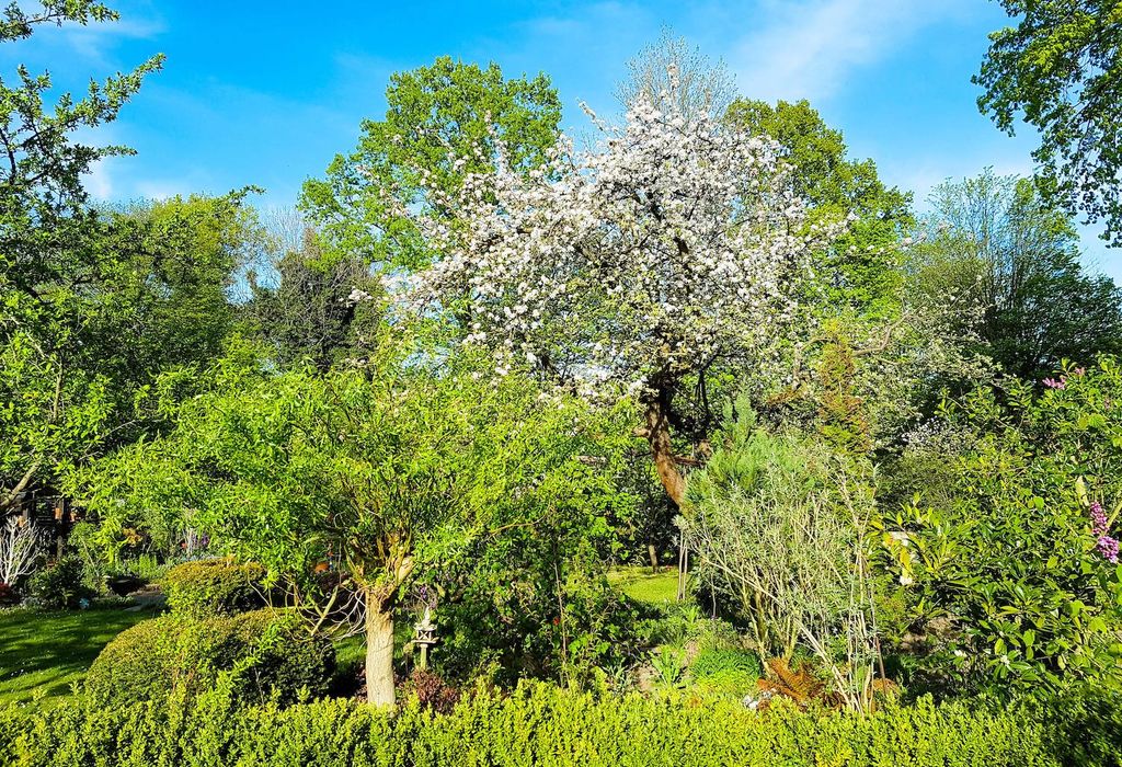 How to Create a Forest Garden | Livingetc