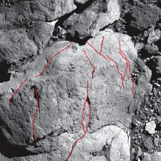 Asteroid Bennu: The space rock that almost swallowed a spacecraft | Space