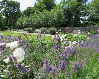 How to hire a landscape designer | Homes and Gardens