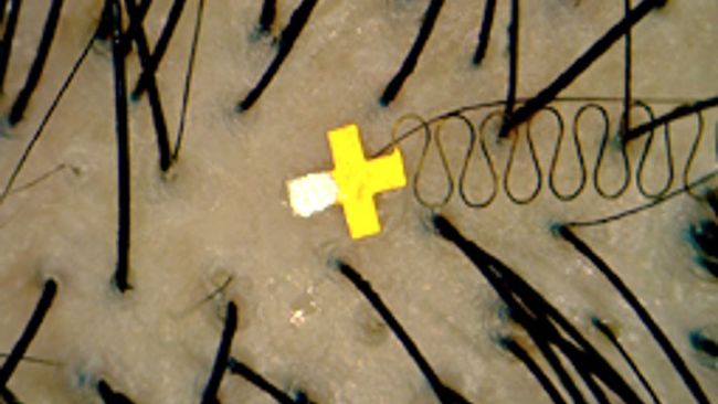 World's first 'body in a box' biological computer uses human brain ...